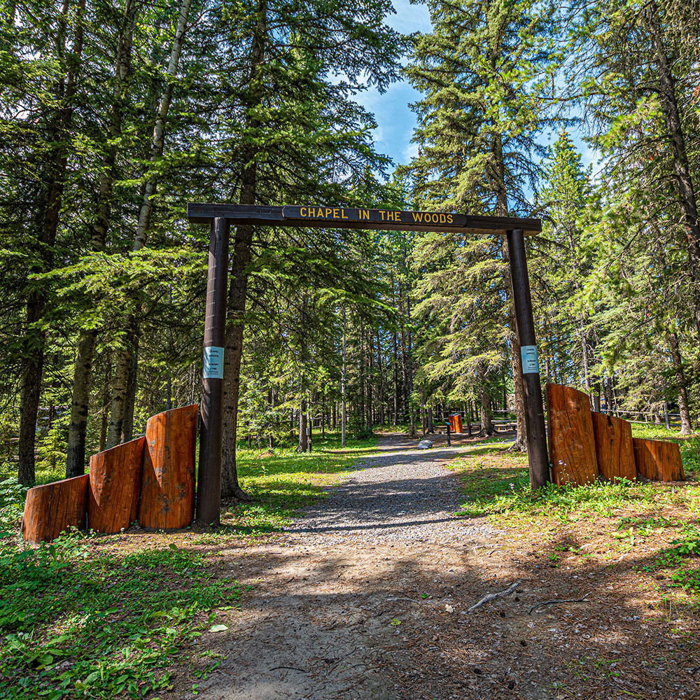 The Resort | Wilderness Village Resort