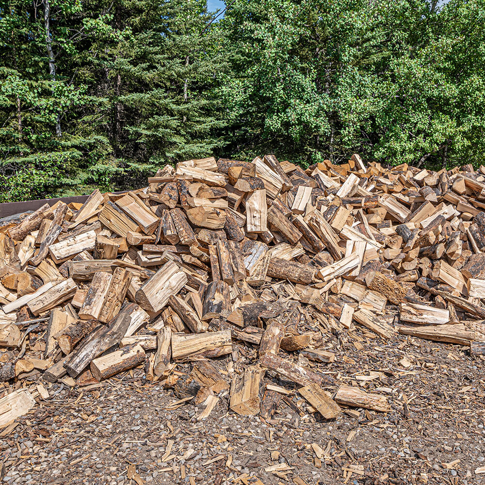 The Resort | Wilderness Village Resort